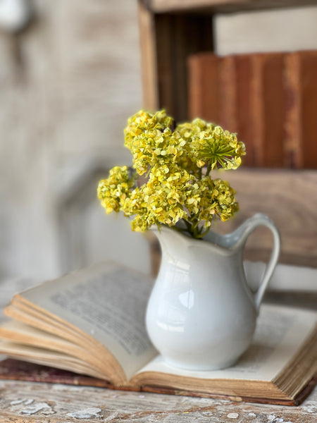 Yellow Mayflower – Vintage Phoenix Marketplace